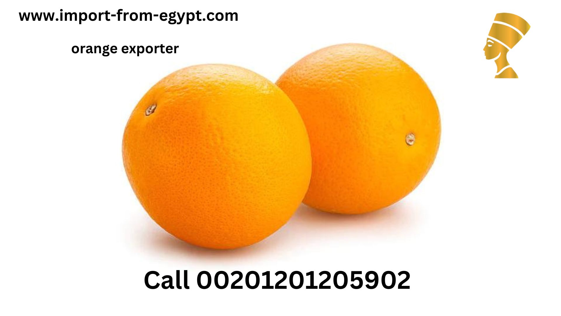 EXPORTING EGYPTIAN ORANGE +201201205902
