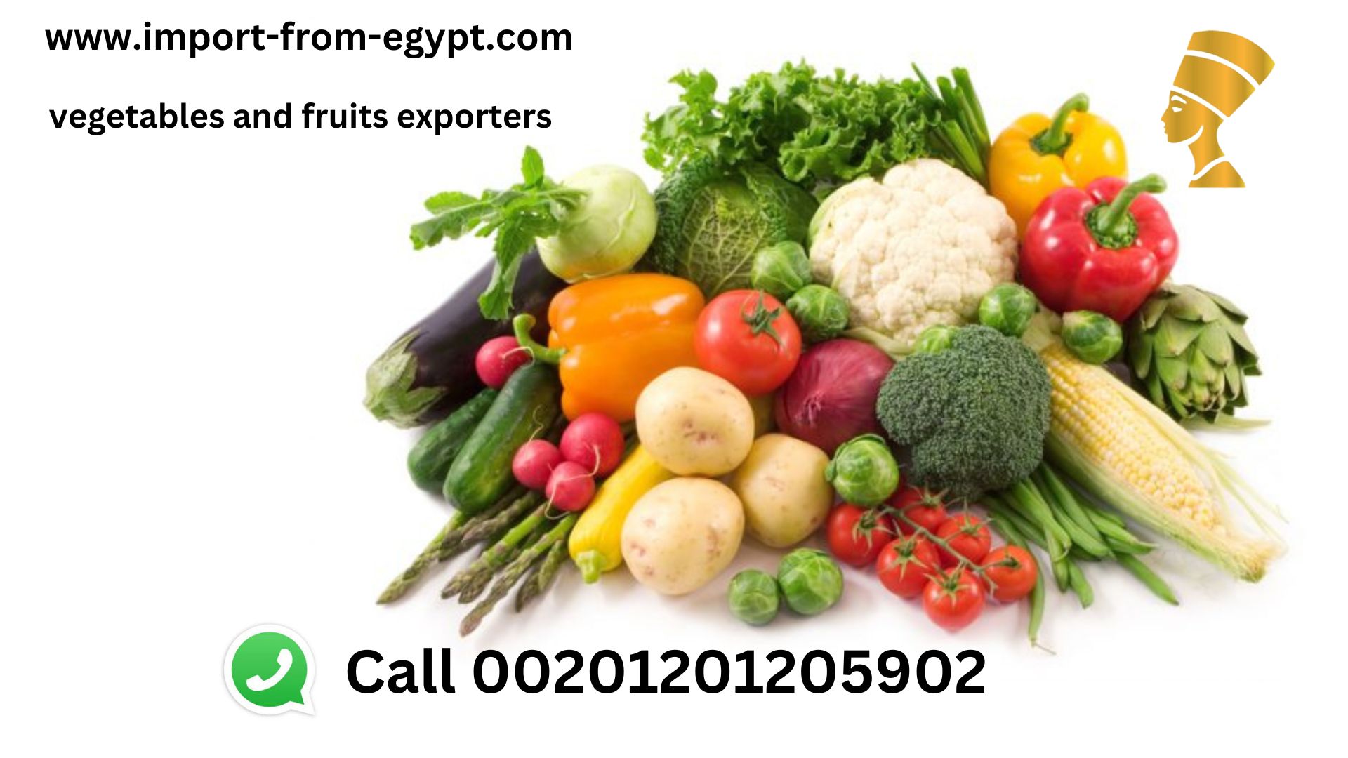 Exporting Egyptian vegetables and fruits 00201201205902